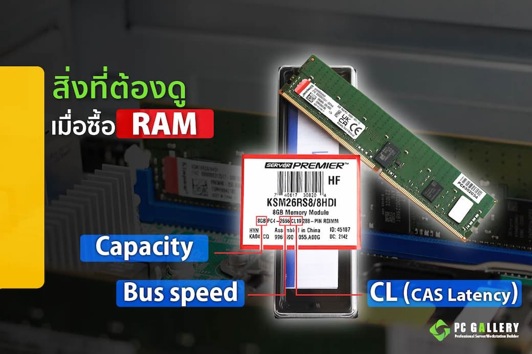 จะซื้อ RAM ต้องดูอะไรบ้าง? - | PC Gallery วิธีเลือกซื้อแรม RAM